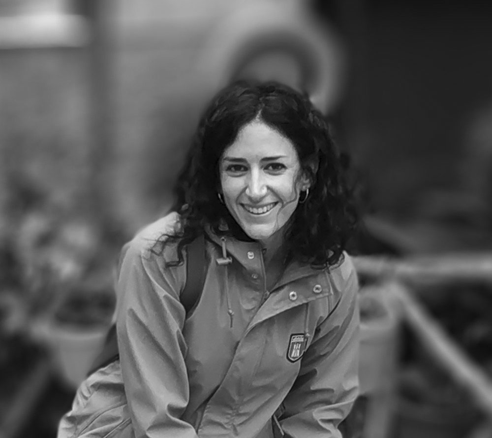 Los creadores - Krobs